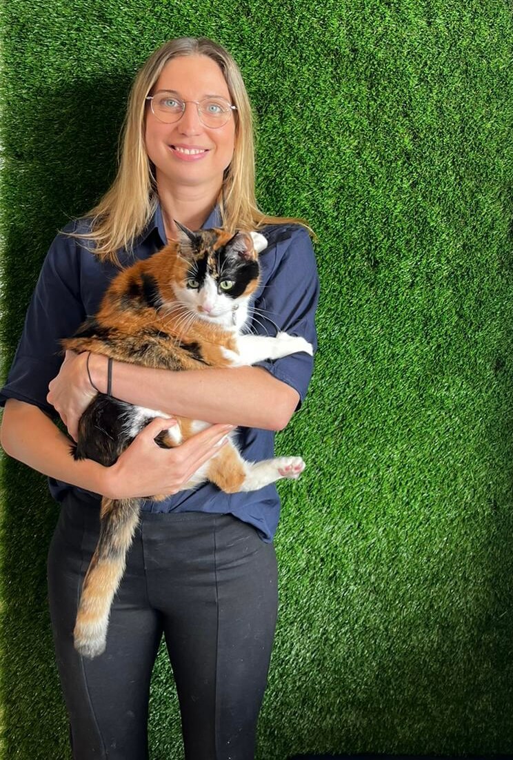 About Us - Rose Bay Vet Hospital